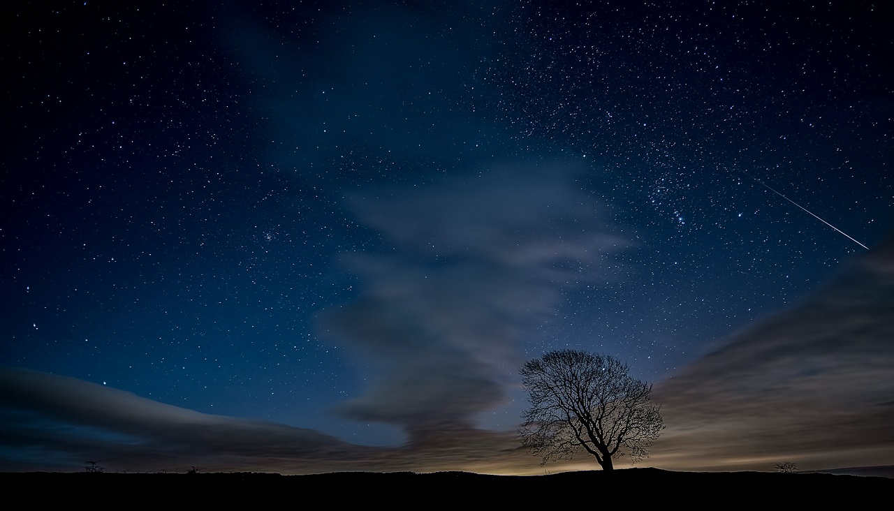 FortiGate Ping を打ち続けたりソースアドレスを指定したりする方法 | 陰の構築者になりたくて